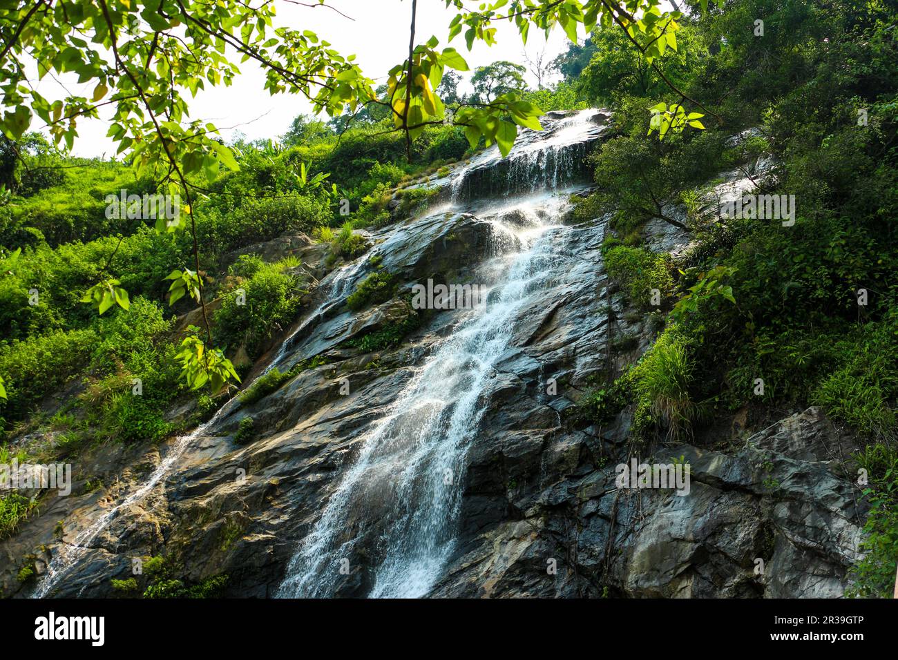 Tropical rainforest landscape hi-res stock photography and images - Alamy