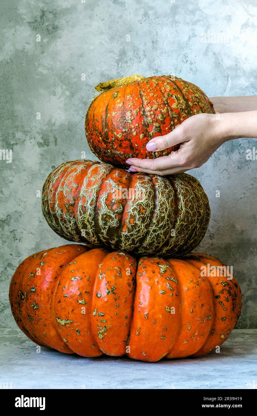 Three big beautiful pumpkins composed by a pyramid Stock Photo - Alamy