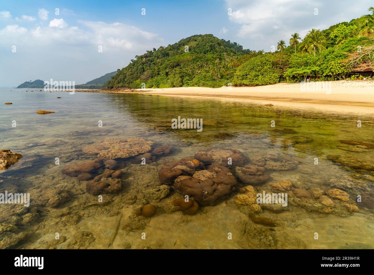 Korallen am Haad Lang Khao beach auf der Insel Koh Libong in der ...