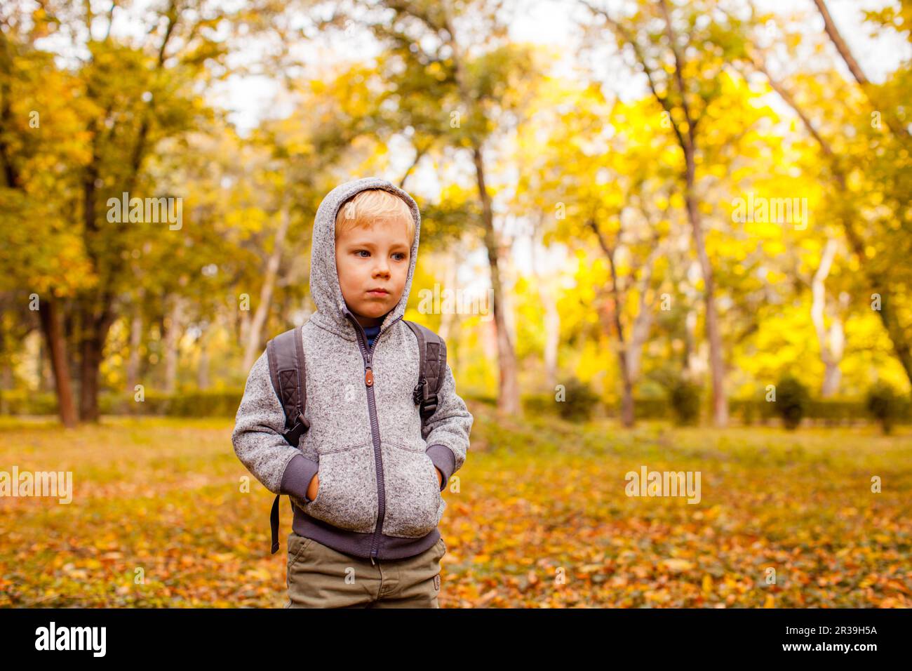 Portrait of cute little boy in autumn time Stock Photo - Alamy