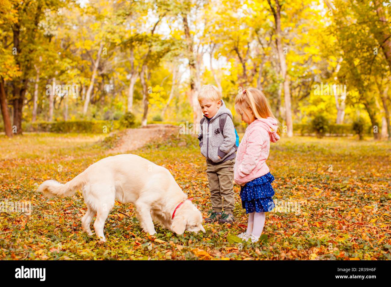 Little owners with dog on a walk in nature Stock Photo - Alamy