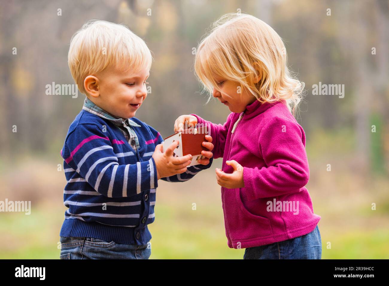 Little twins holding in hands small model of house outdoors. Real ...