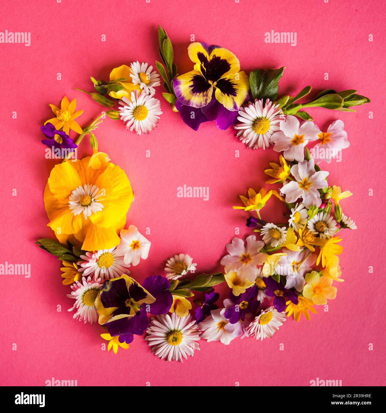 Round shape flowers hi-res stock photography and images - Alamy