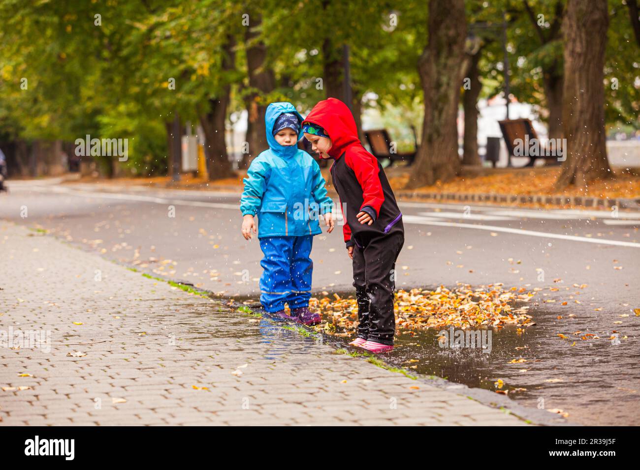 The little kids are playing in a puddle Stock Photo - Alamy