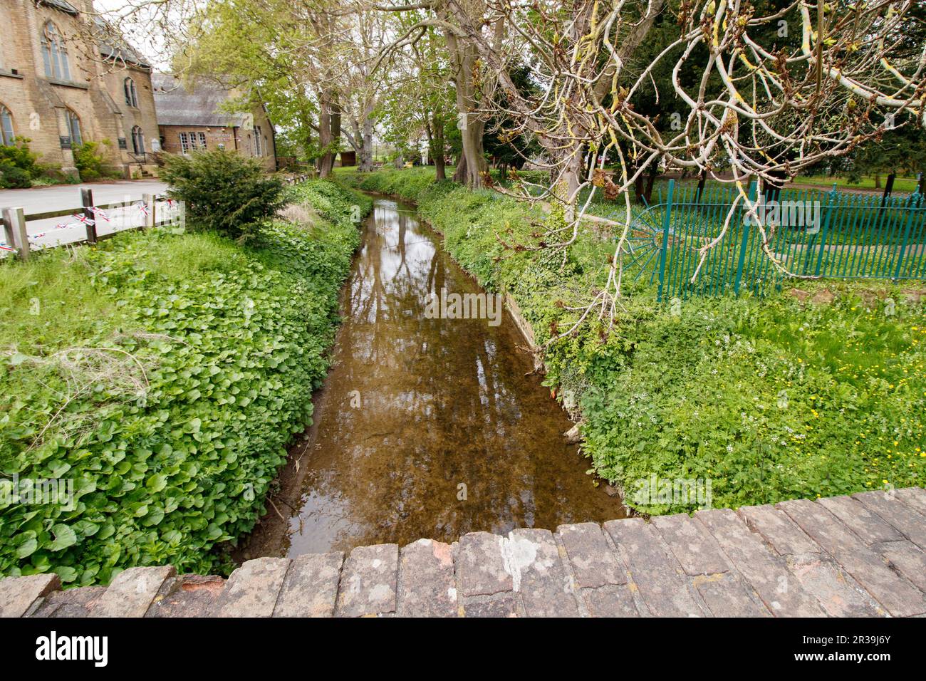 Under water grift hi-res stock photography and images - Alamy