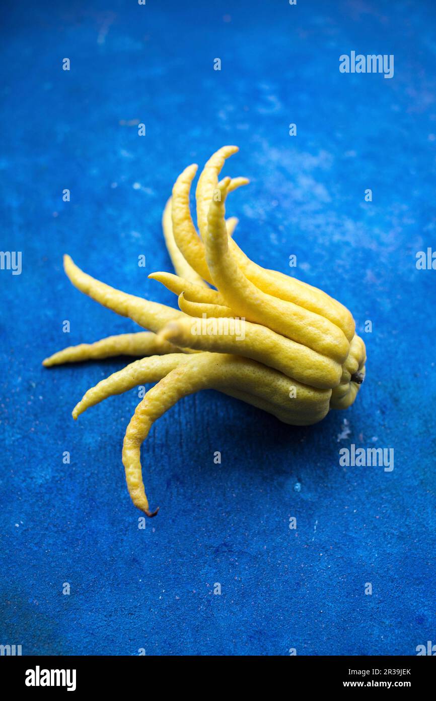 Finger lemon on a blue background Stock Photo - Alamy