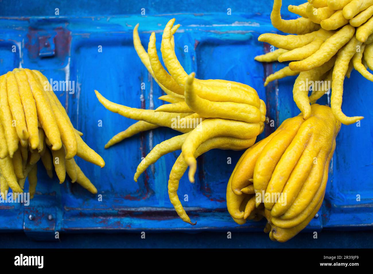 Finger citron fruit hi-res stock photography and images - Alamy