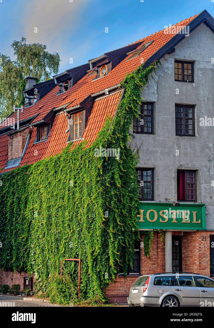 House wall overgrown ivy hi-res stock photography and images - Alamy