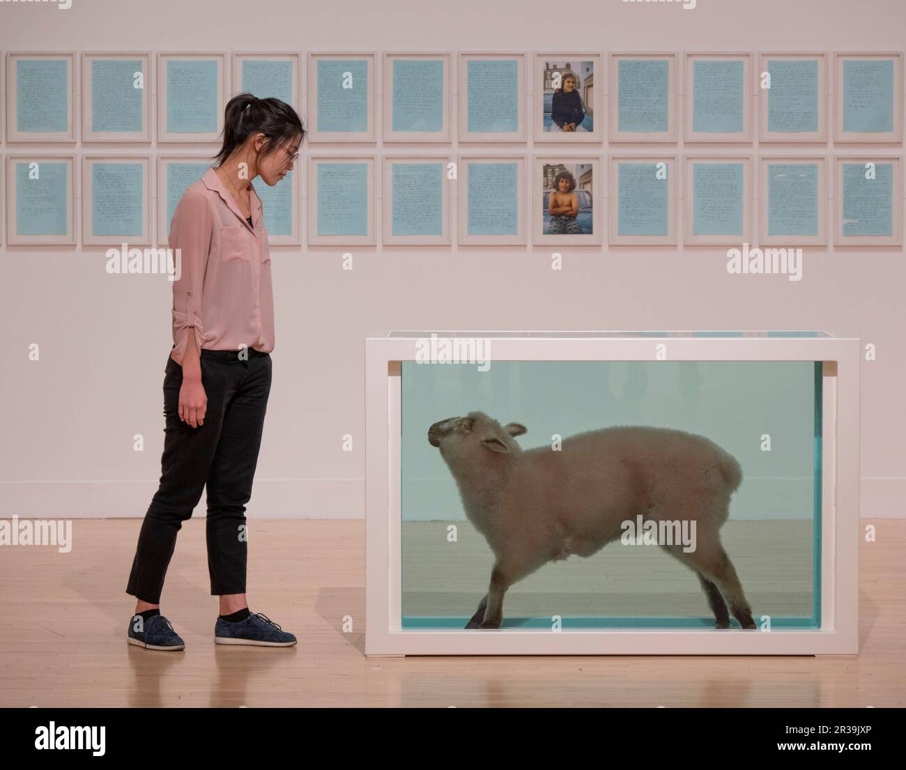 Hirst away from the flock hi-res stock photography and images - Alamy