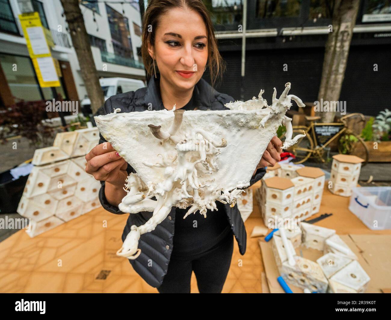 London, UK. 23rd May, 2023. SYMBIOCENE LIVING: Mycelium Building Block ...