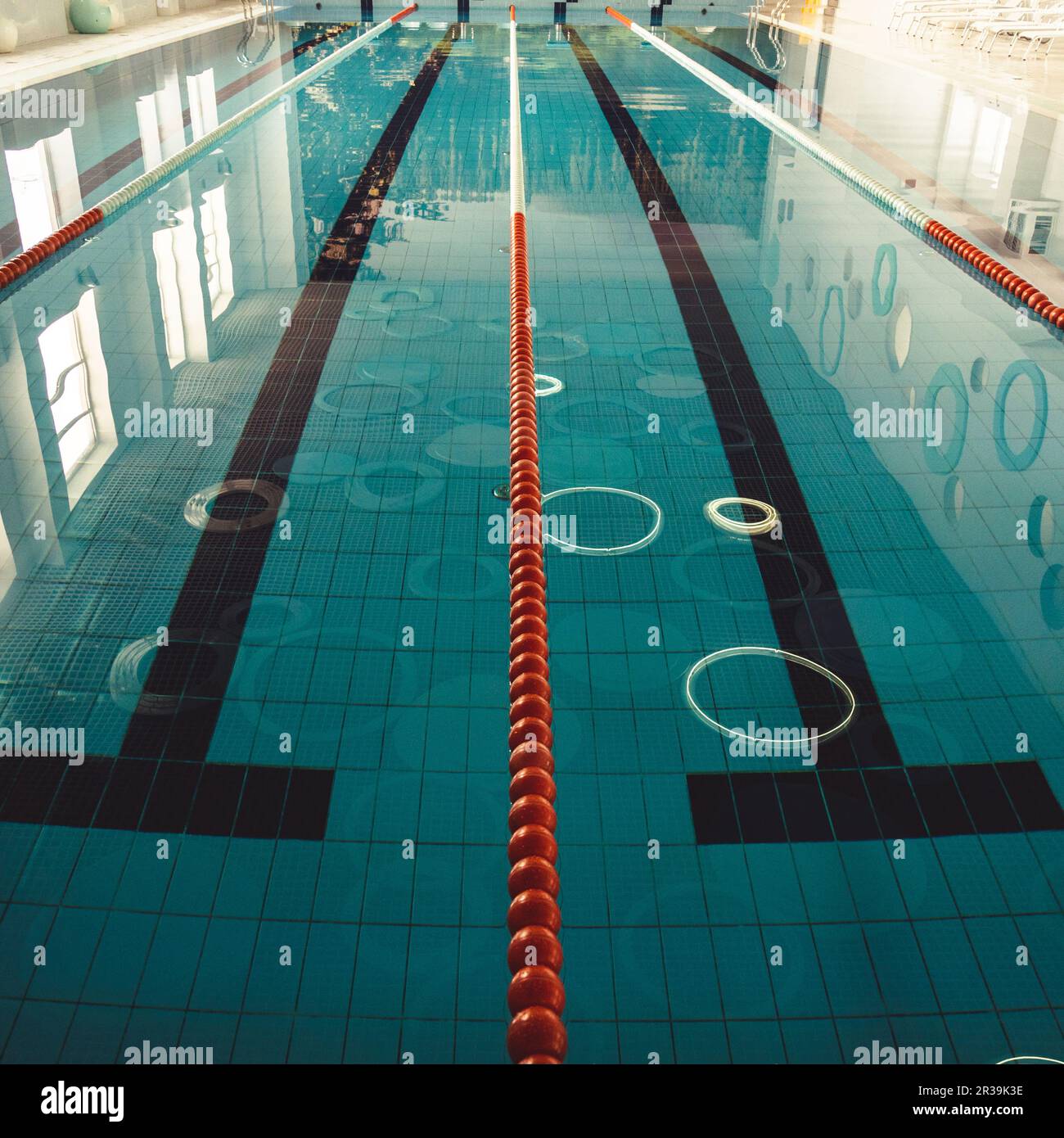 Empty Indoor swimming pool with swim lanes Stock Photo - Alamy