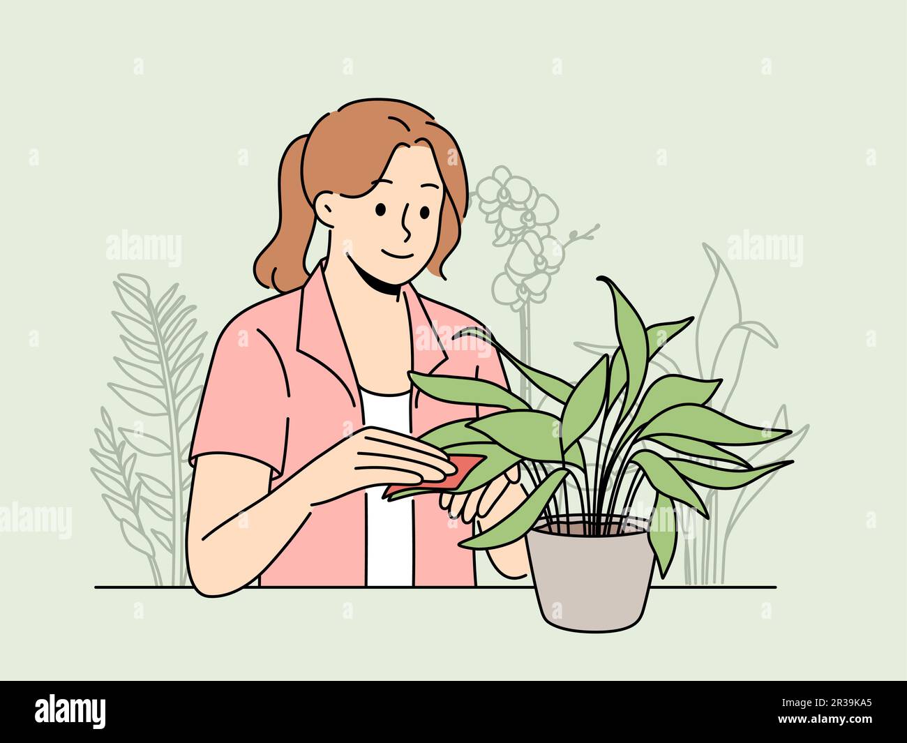 Smiling woman clean leaves on houseplant. Happy girl take care of plant ...
