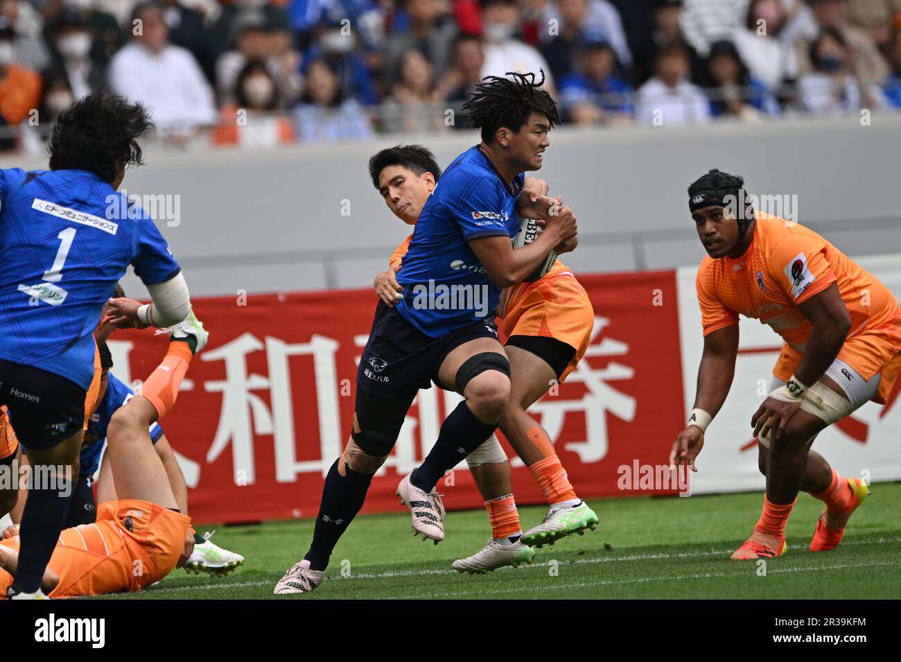 Panasonic Wild Knights' Shota Fukui during the 2022-23 Japan Rugby ...