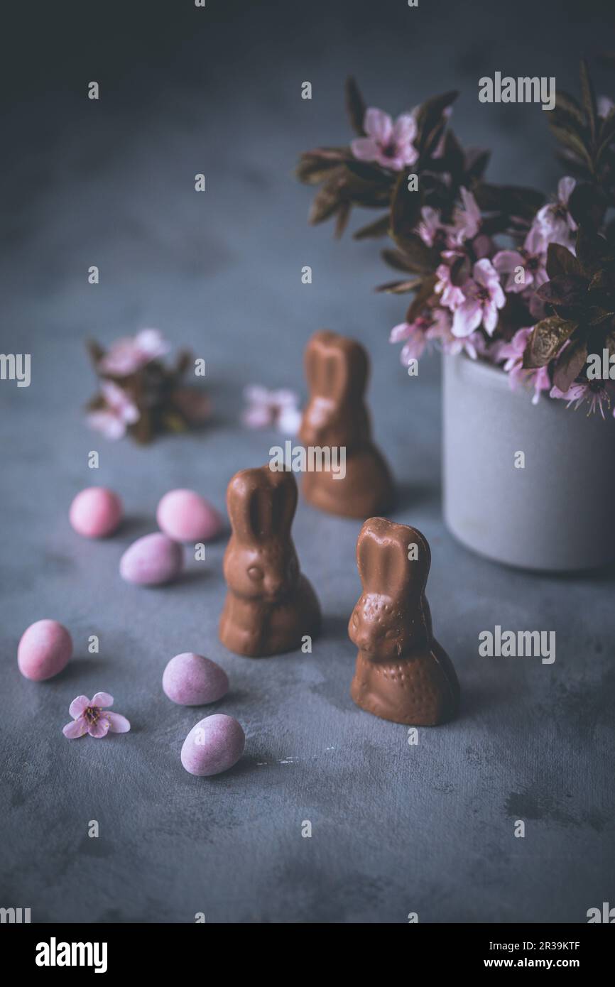 Little chocolate Easter bunnies Stock Photo - Alamy