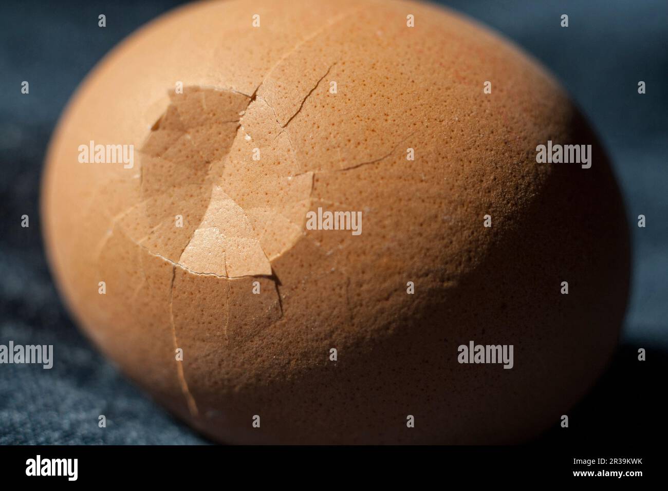 Shell fracture hi-res stock photography and images - Alamy