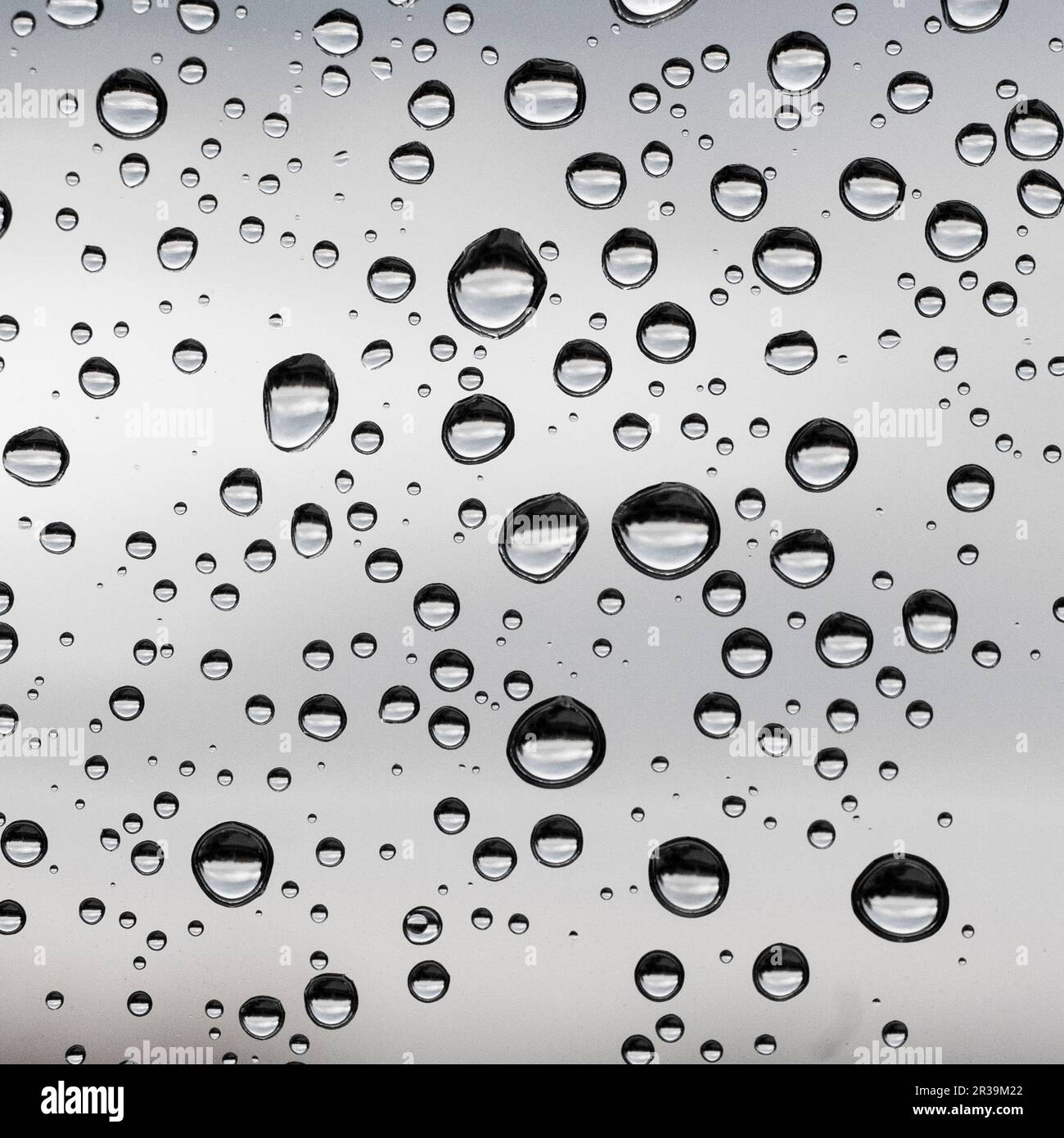 Monochrome image of raindrops on window glass Stock Photo - Alamy