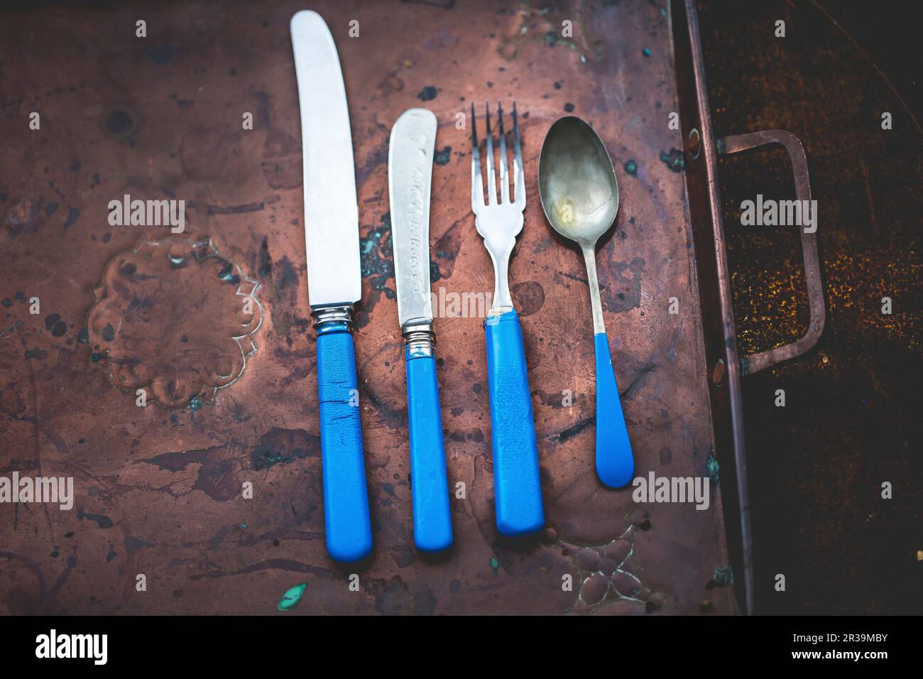 Cuttlery hi-res stock photography and images - Alamy