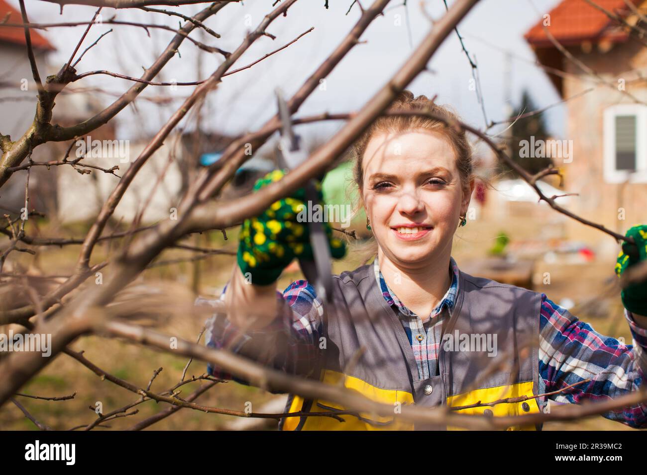 Young woman pruning trees with pruning shears in the garden Stock Photo ...