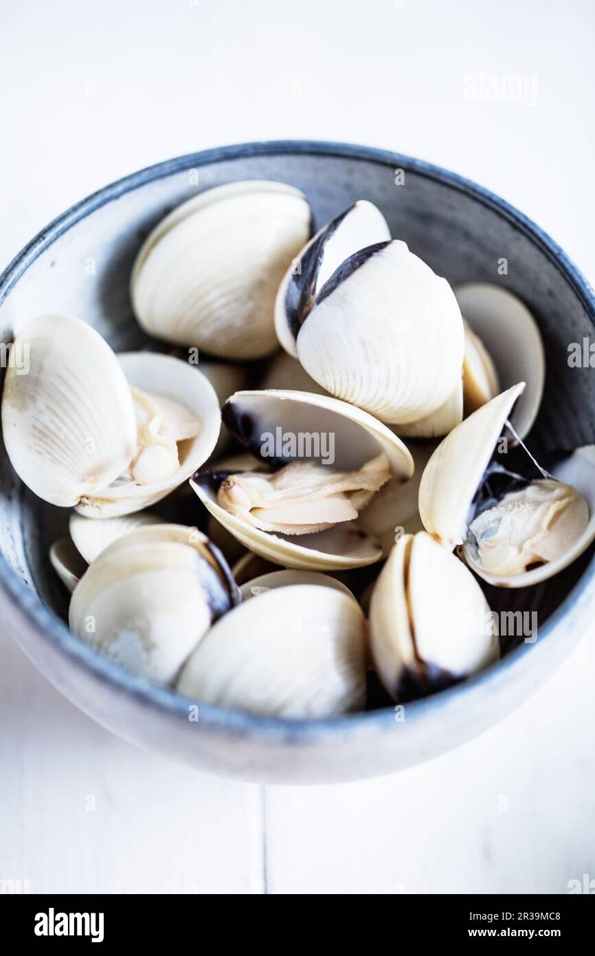 Venus clam recipe hi-res stock photography and images - Alamy