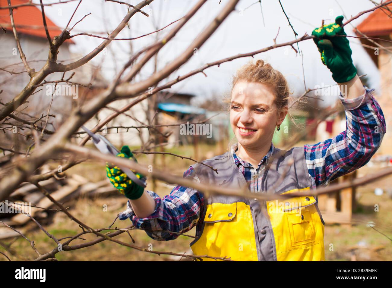 Woman pruning tree hi-res stock photography and images - Alamy