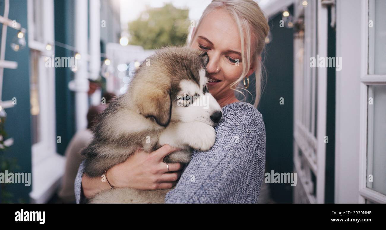 Dogs, trust and a woman carrying her pet in the home as a companion for ...