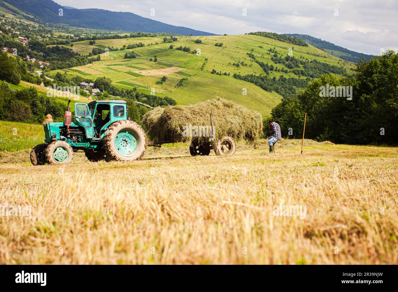 Tractor in the field is harvesting hay Stock Photo - Alamy