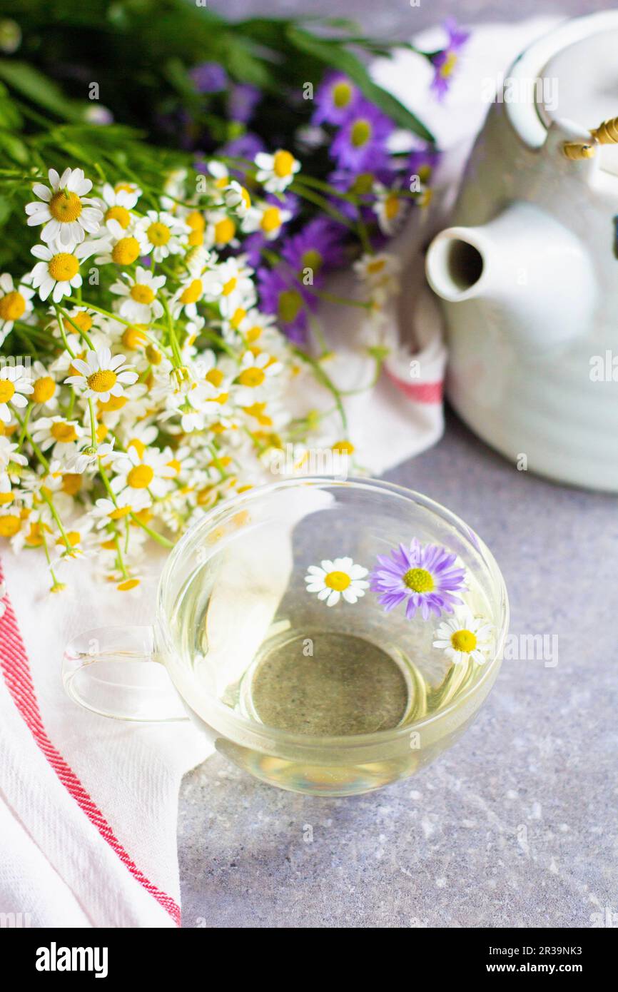 Chamomile tea plant in a plant pot hi-res stock photography and images ...
