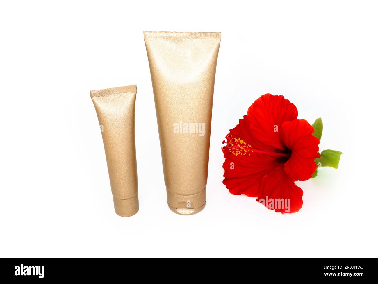 Hibiscus cream spa not illustration hi-res stock photography and images ...