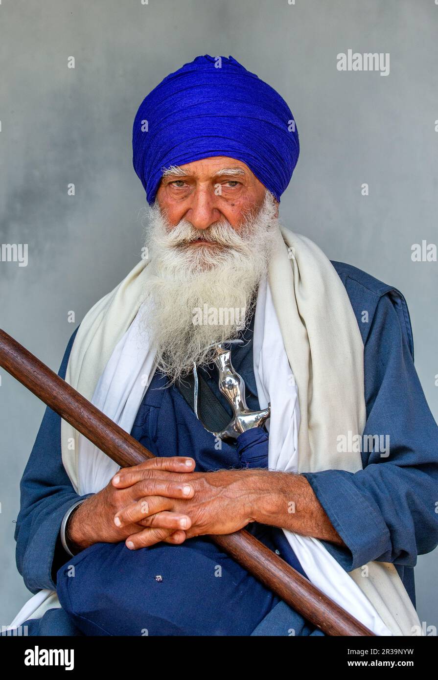 Portrait of a Sikh warrior in traditional dress with weapons Stock ...