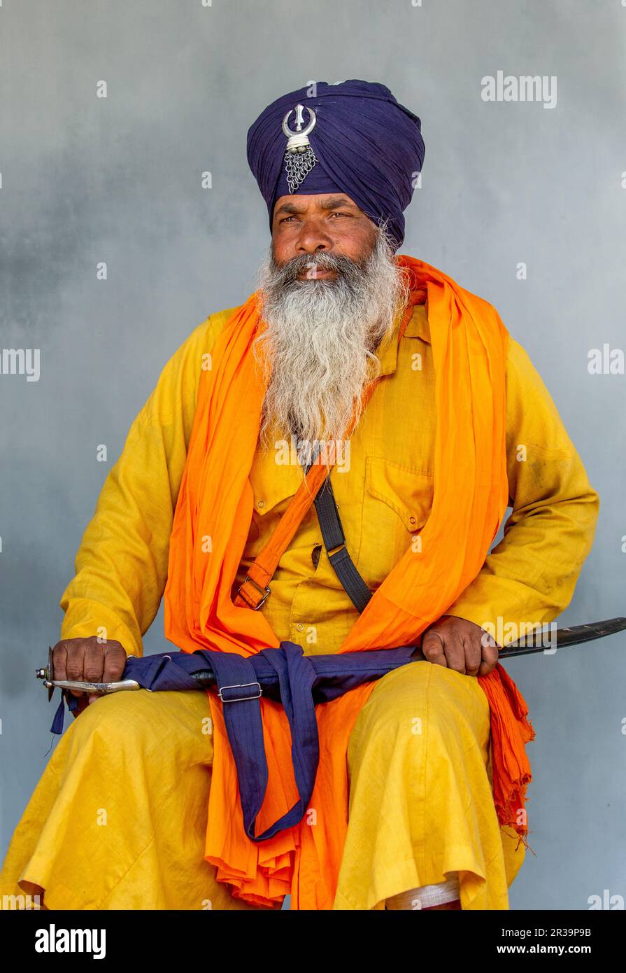 Portrait of a Sikh warrior in traditional dress with weapons Stock ...