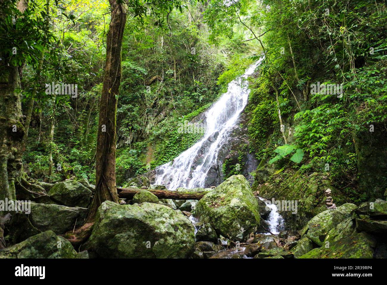 Dappermen hi-res stock photography and images - Alamy