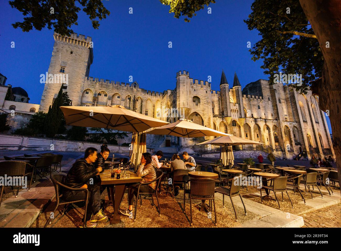 Palacio de los Papas, gotico medieval,Avignon,Francia, Europa Stock ...