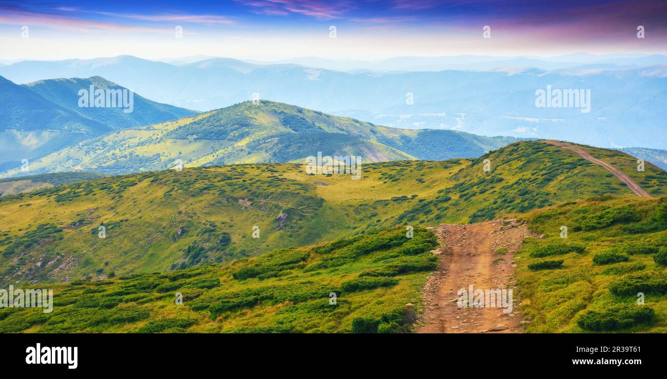 alpine travel destination of carpathian mountains. hillside of petros ...