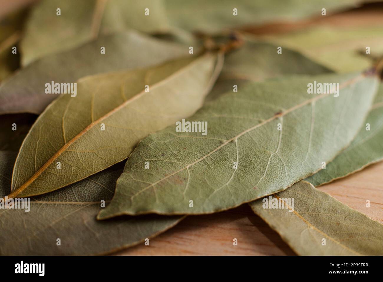 Dry bay leaves hi-res stock photography and images - Alamy