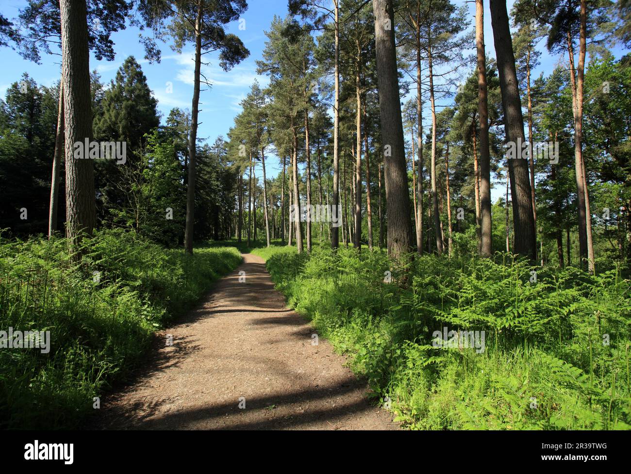 Worcestershire wildlife trust hi-res stock photography and images - Alamy