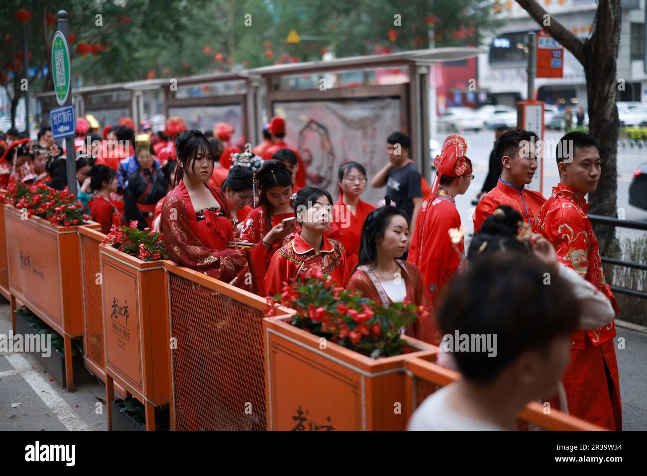 A traditional group wedding is held on '520' day in Shenyang City ...