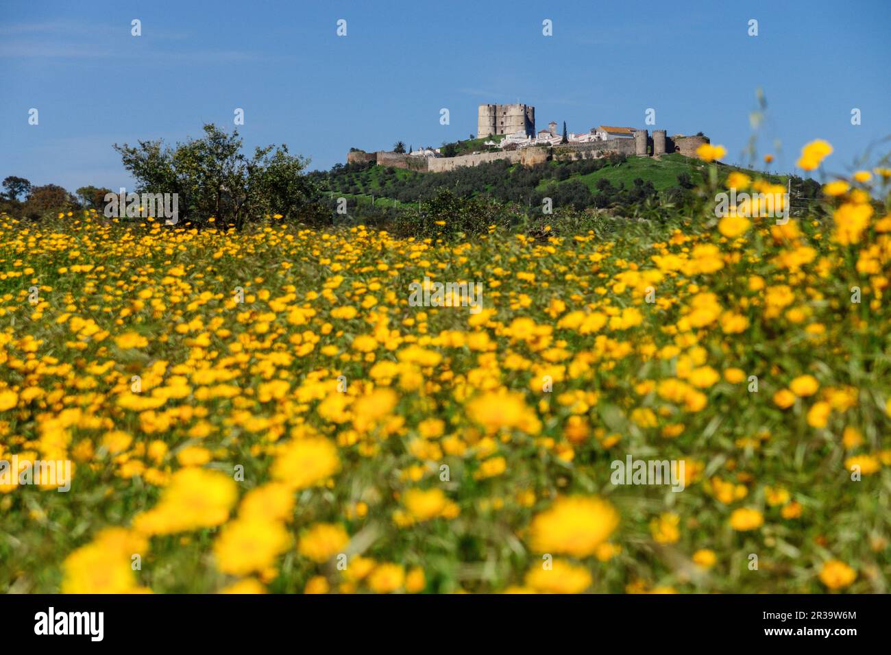 campo florido y castillo, Evoramonte ( concejo de Estremoz), Alentejo ...