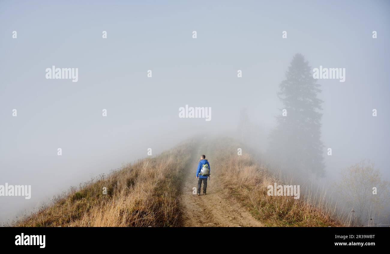 Man hiker strolling down hiking path on grassy hill with misty trees ...