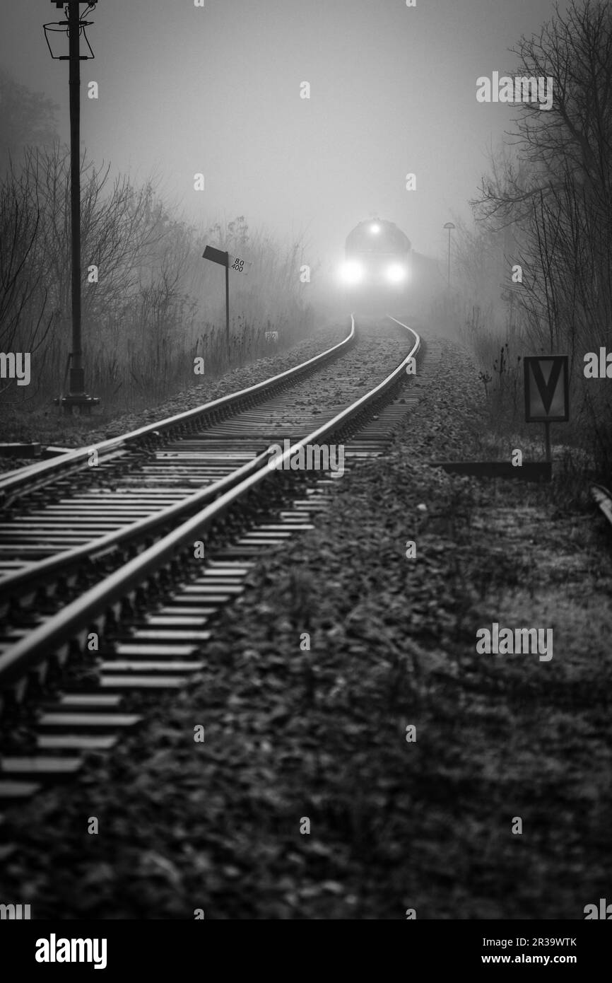 Cargo train emerging from the mist Stock Photo - Alamy