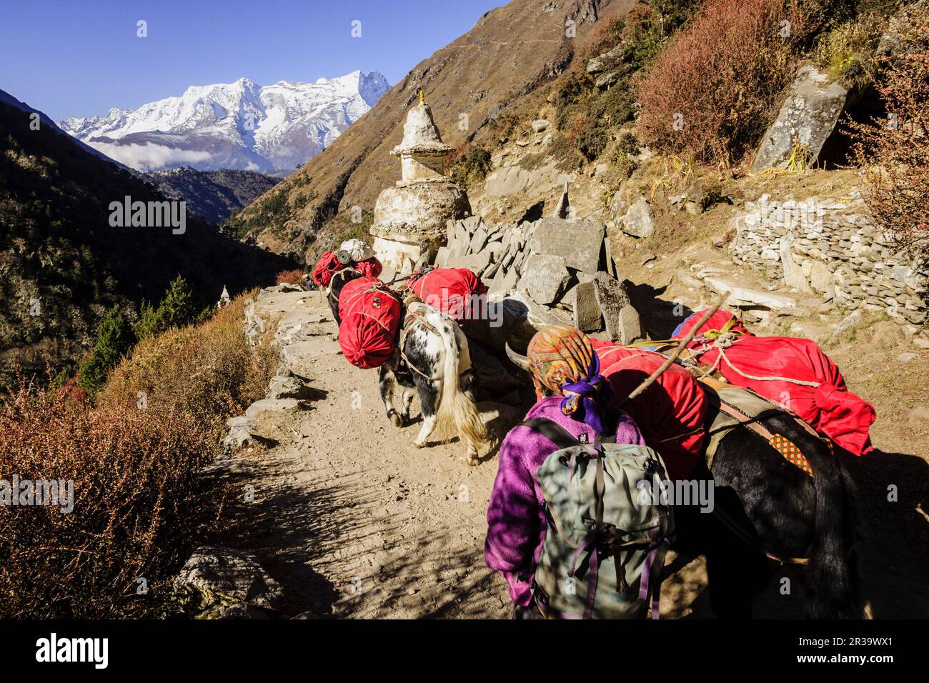 Símbolo de carga hi-res stock photography and images - Alamy