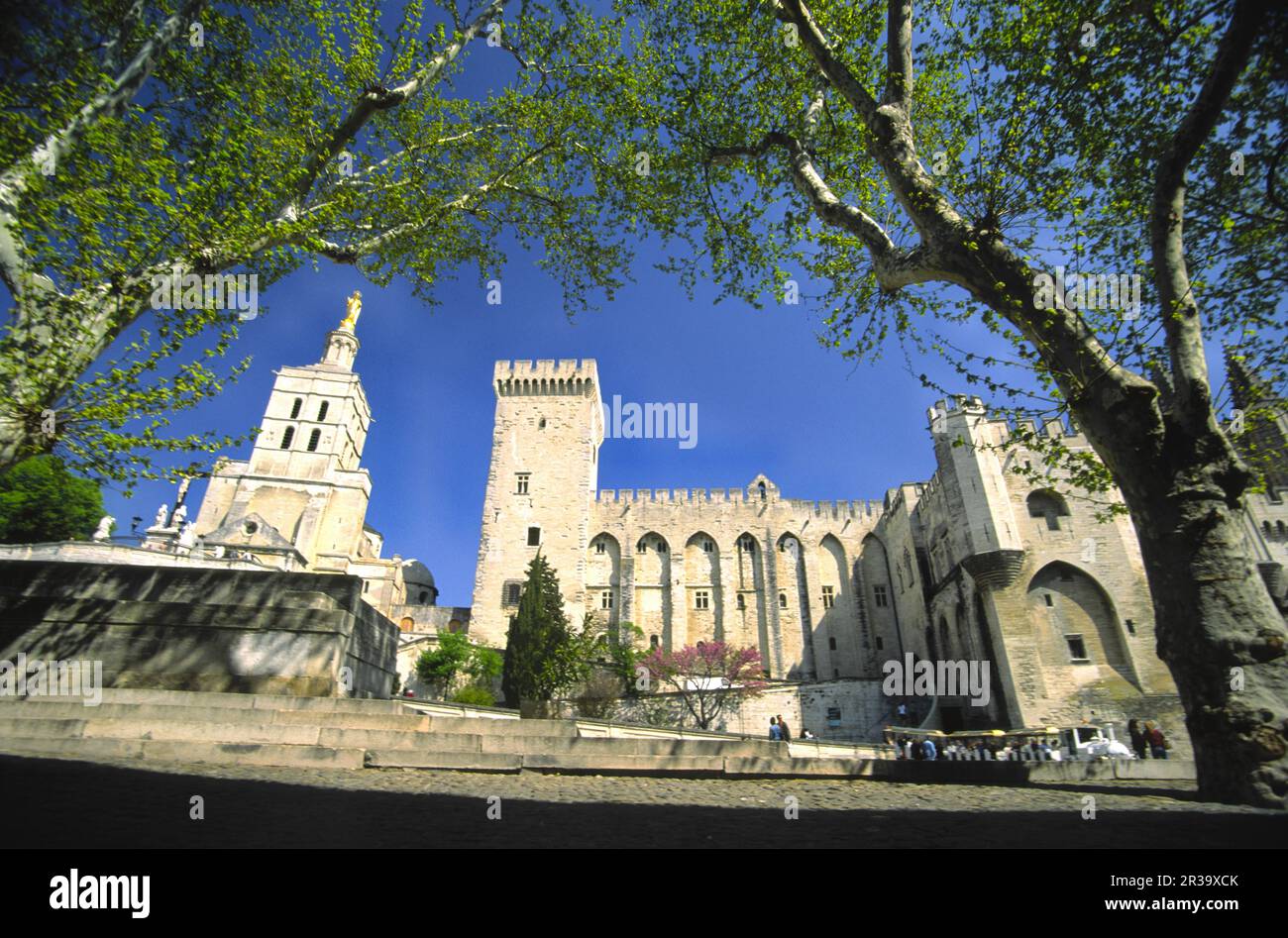 Palacio Papal (Palais des Papes). Aviñon.Vaucluse.Provenza.Francia ...