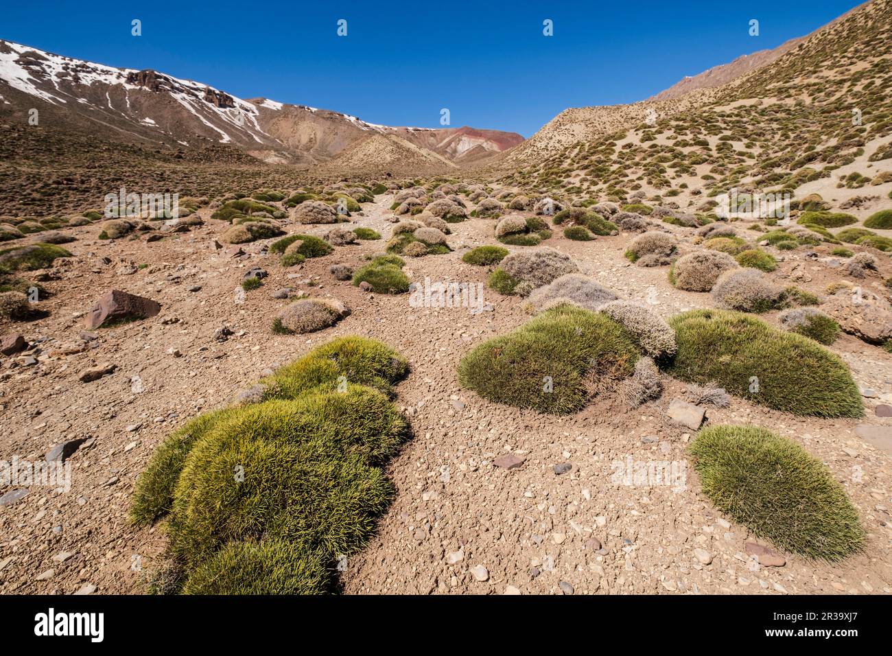 Plateau de Tarkeddit descent towards the Arous gorge, MGoun trek, Atlas ...