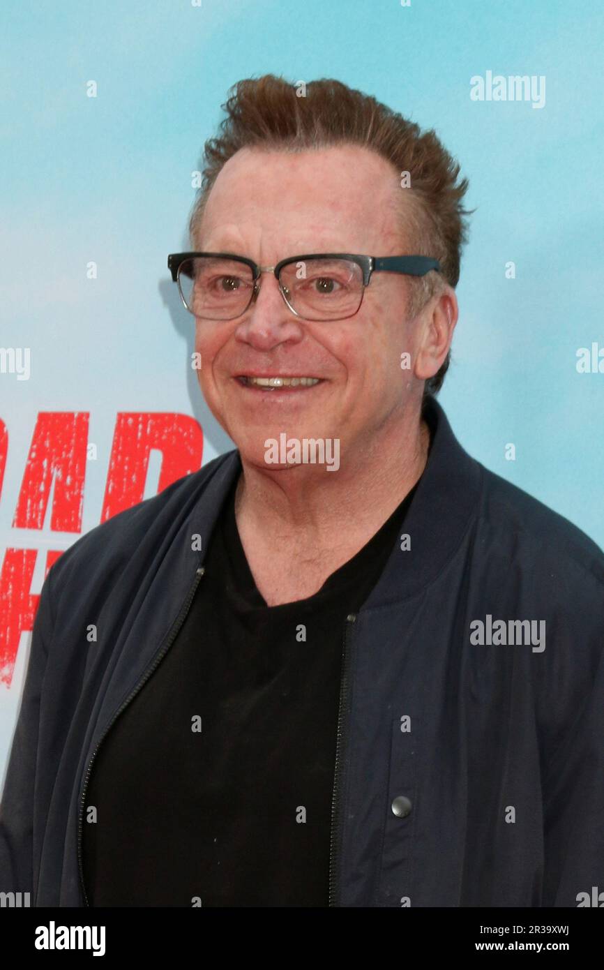 LOS ANGELES - MAY 22: Tom Arnold at the FUBAR TV Series Premiere ...