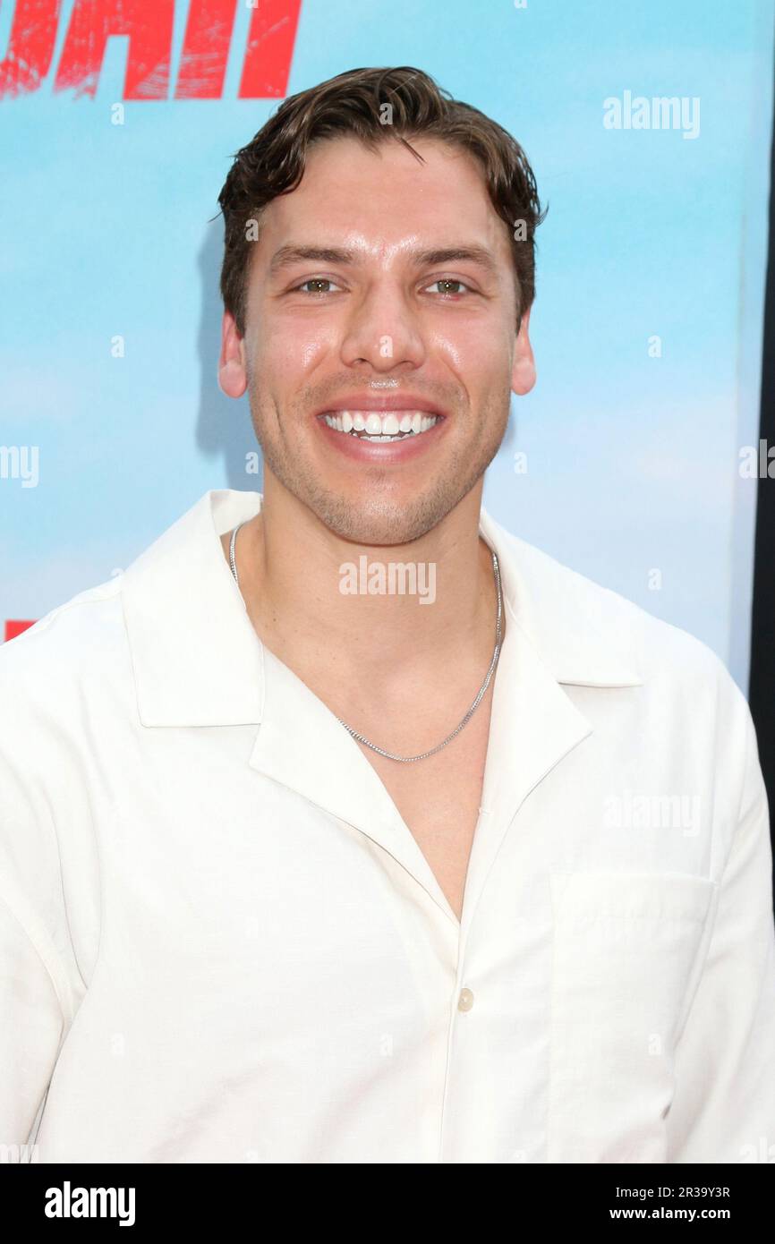 LOS ANGELES - MAY 22: Joseph Baena at the FUBAR TV Series Premiere ...