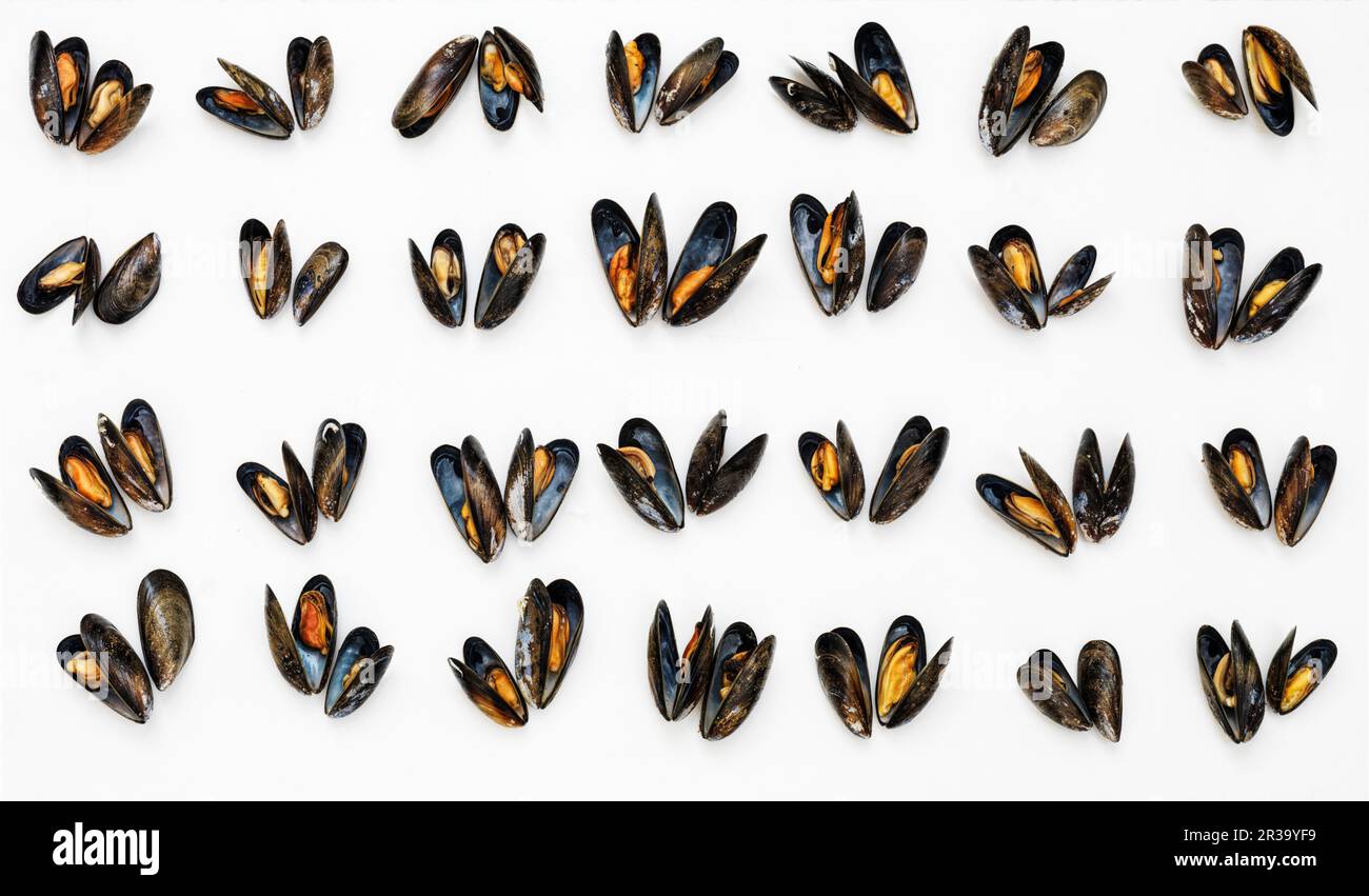 Rows top view Cut Out Stock Images & Pictures - Alamy