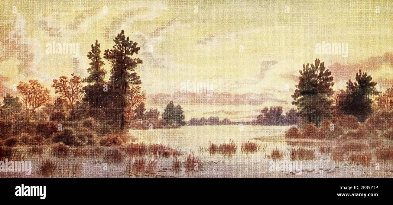 Parry sound art hi-res stock photography and images - Alamy