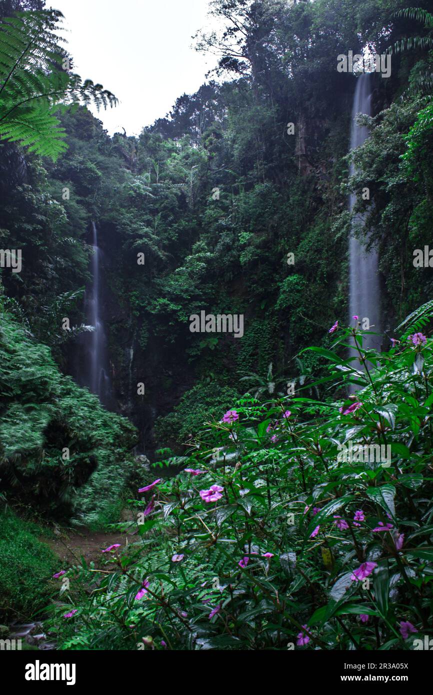 Beautiful view of waterfall in forest, Batu Hanoman Waterfall ...