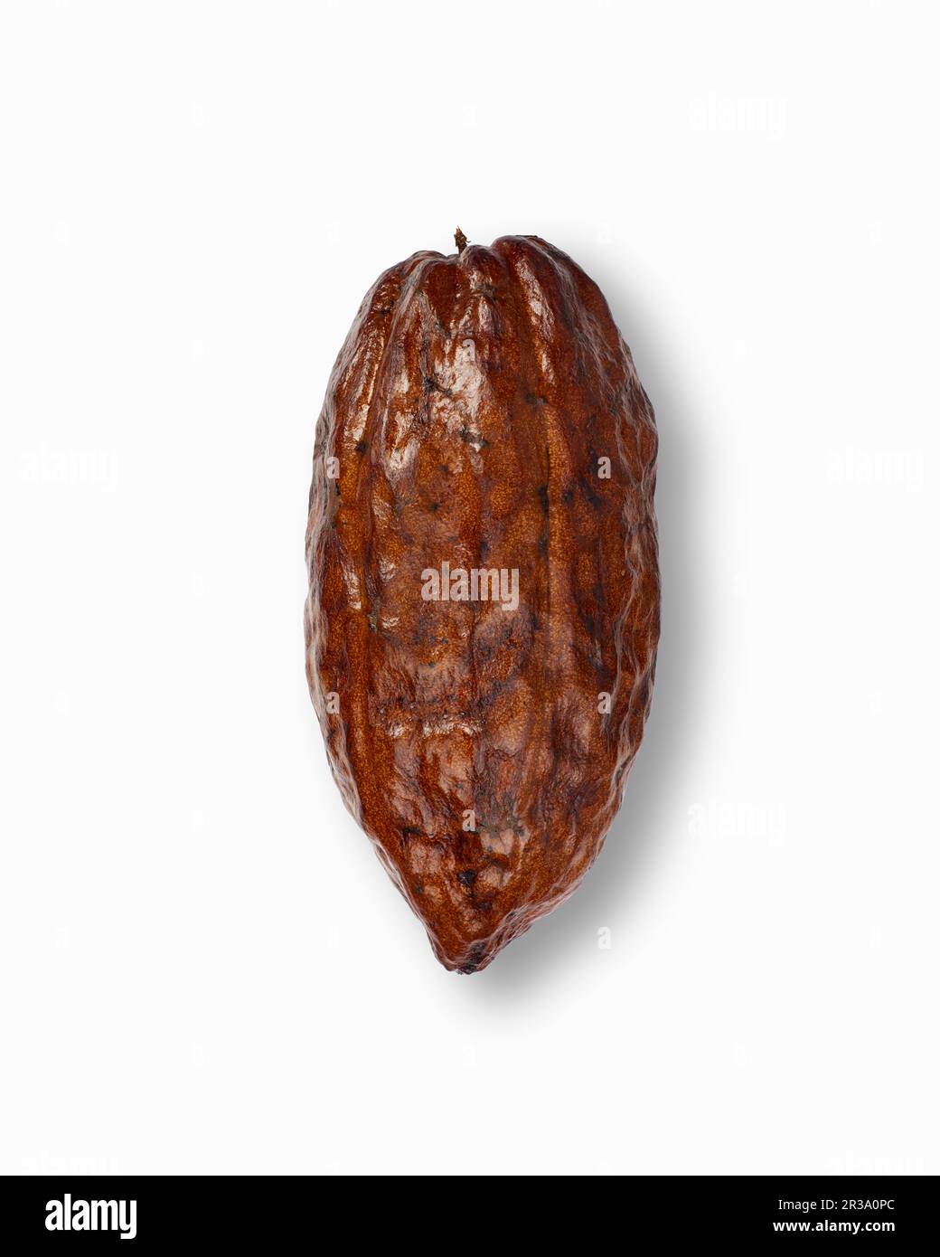 A cocoa pod on a white background Stock Photo - Alamy