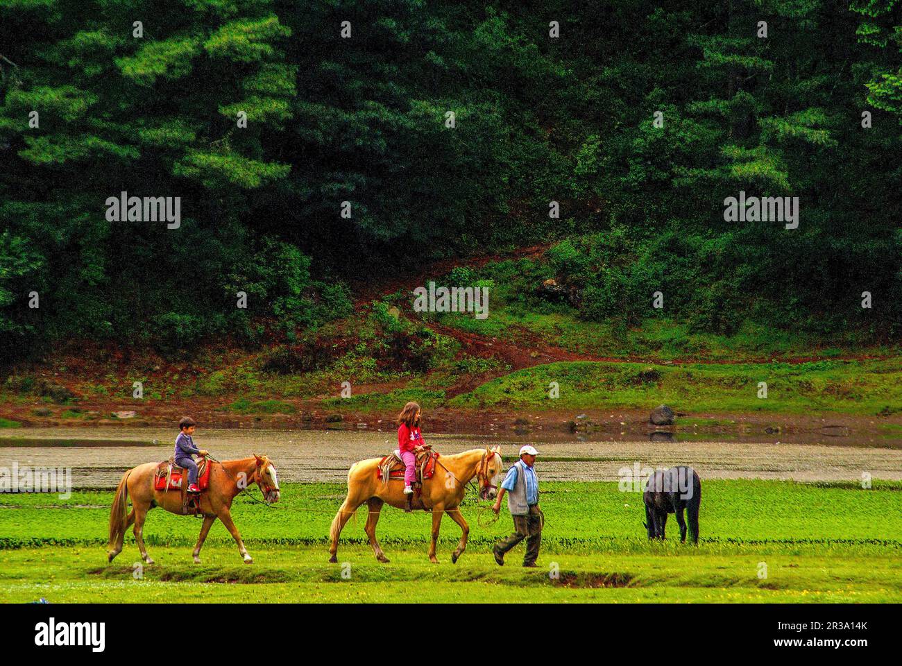Parque nacional lagunas hi-res stock photography and images - Alamy