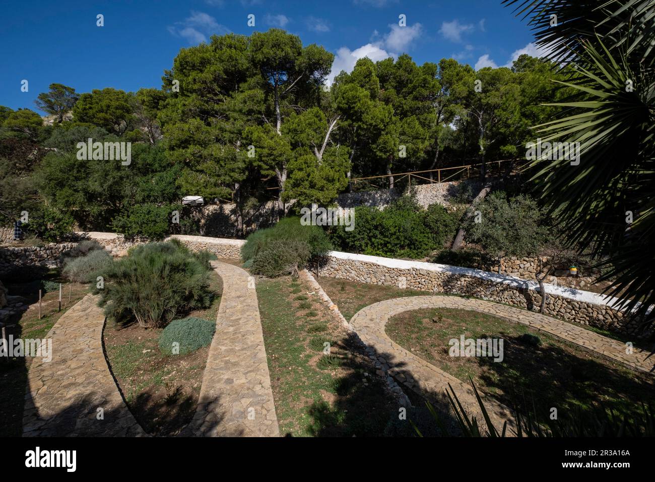 Mediterranean garden of native plants, Sa Dragonera natural park ...